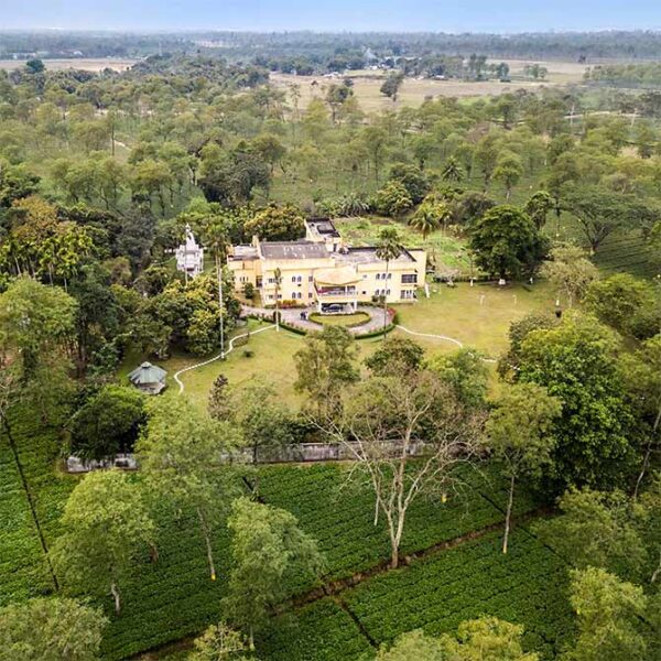 Mokalbari Tea Estate | House of Tea